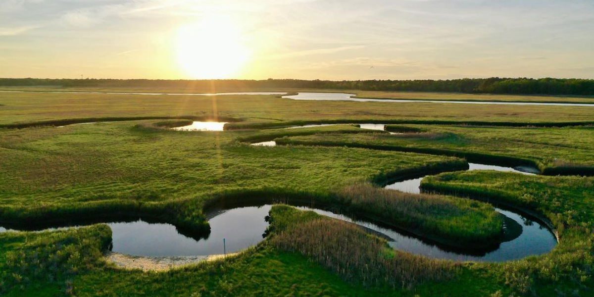 Jacques Cousteau National Estuarine Research Reserve