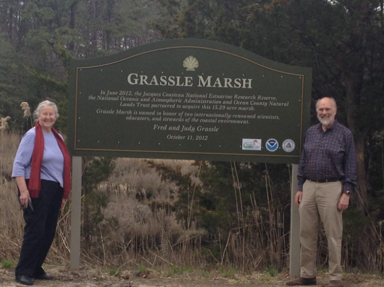 Grassle Marsh Trail – Jacques Cousteau National Estuarine Research Reserve