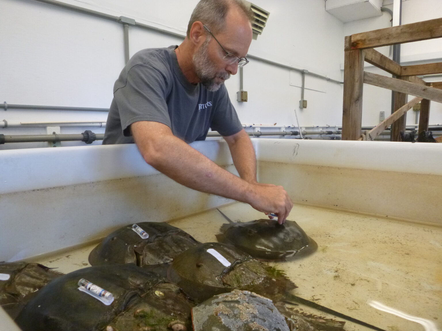 Jacques Cousteau National Estuarine Research Reserve